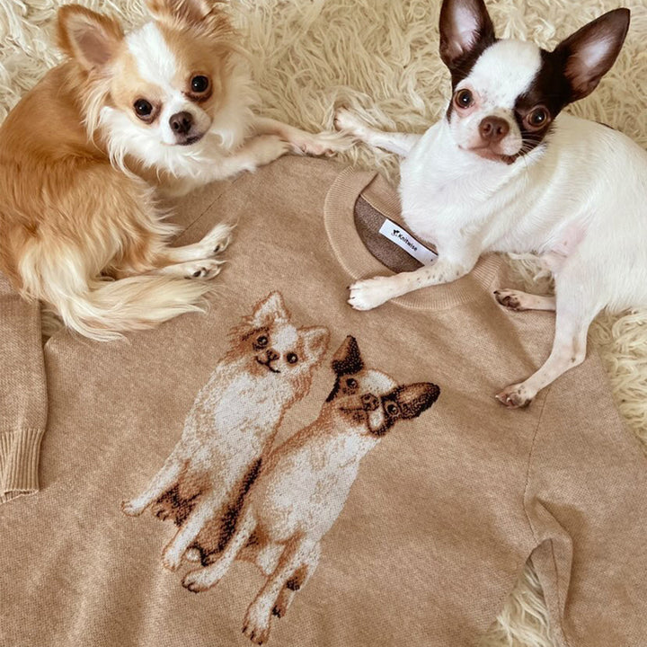 Custom Pet Sweater | Full Body Custom Knit | Knitwise – Knitwise, Inc.